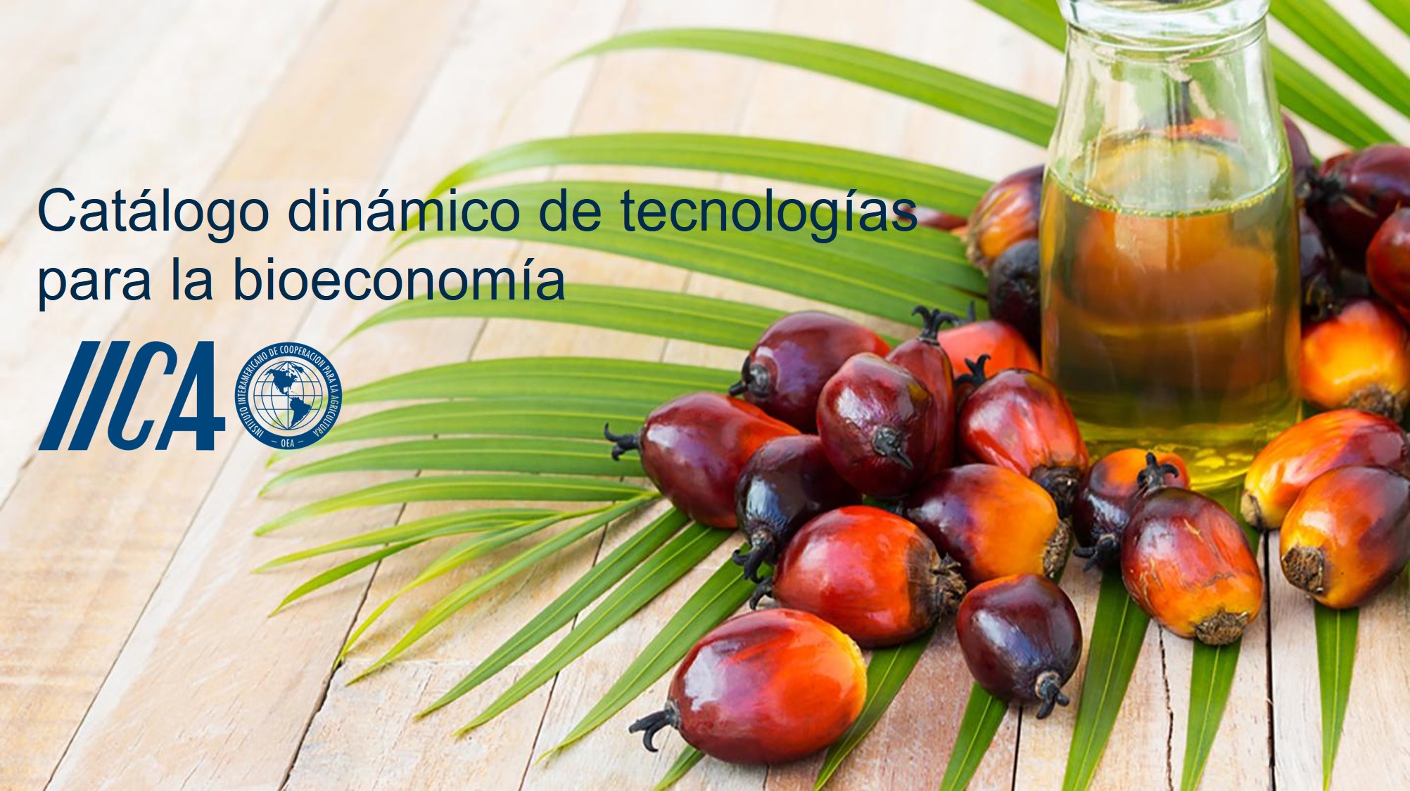 Catálogo dinámico de tecnologías para la bioeconomía | FUSAGRI