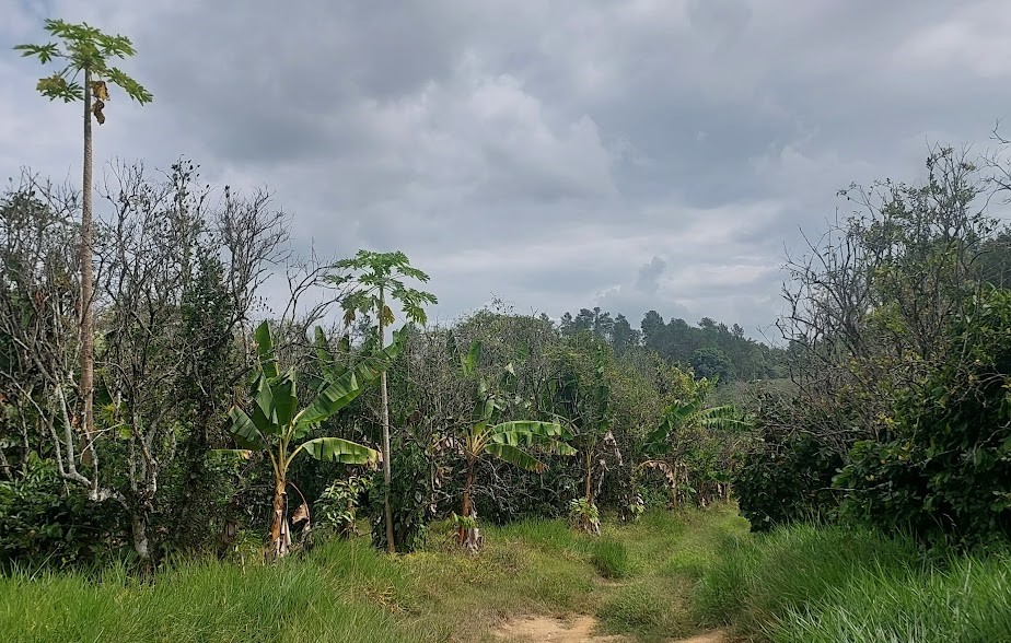 Delegación de expertos visitó el occidente de Carabobo para evaluar los ...